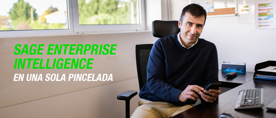 Portal Partners Sage Blitz Day SEI Sage Enterprise Intelligence ...