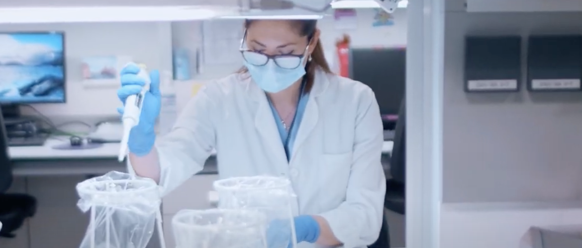 Portal Partners Sage Webinar del sector de fabricación farmacéutica con Vircell Microbiologists ...